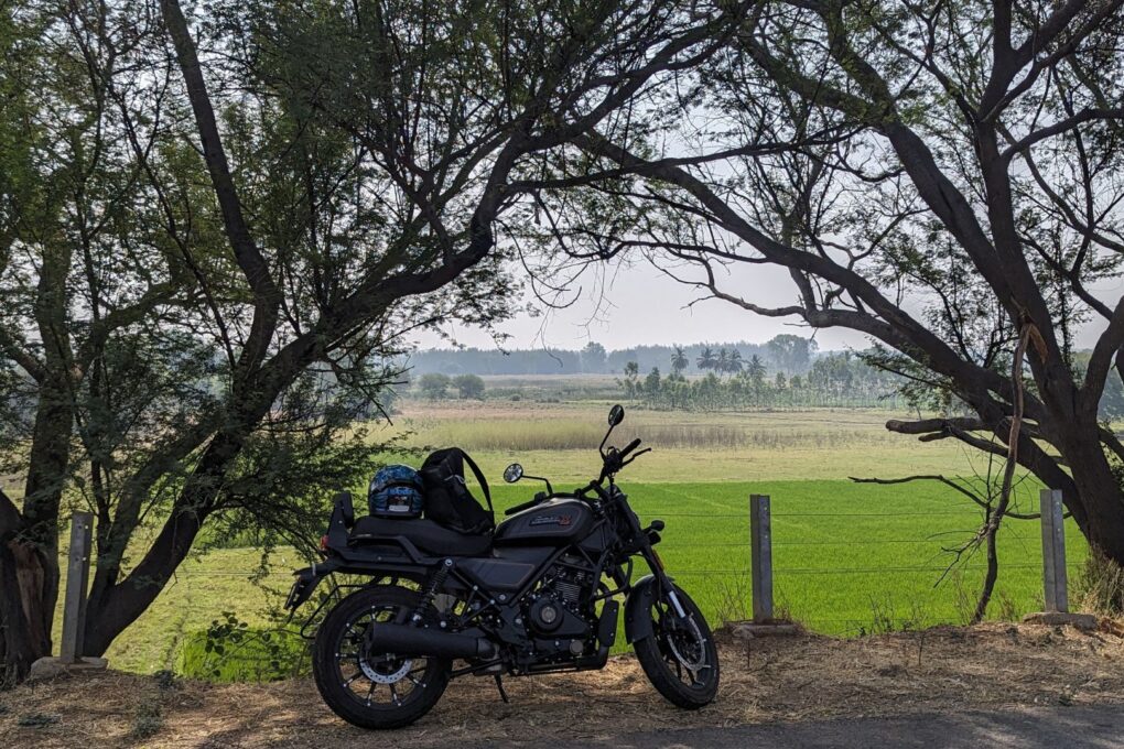 Audi RS5 Sportback Review: Green Goblin - Motoring World