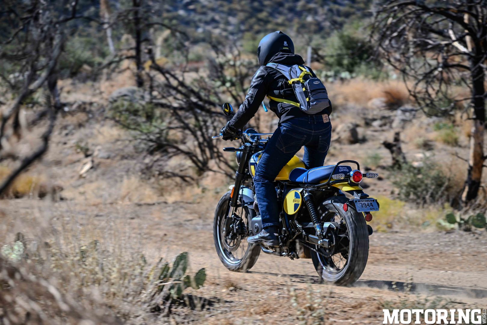 Royal Enfield Bear 650 First Ride Review: Bear Necessities - Motoring World